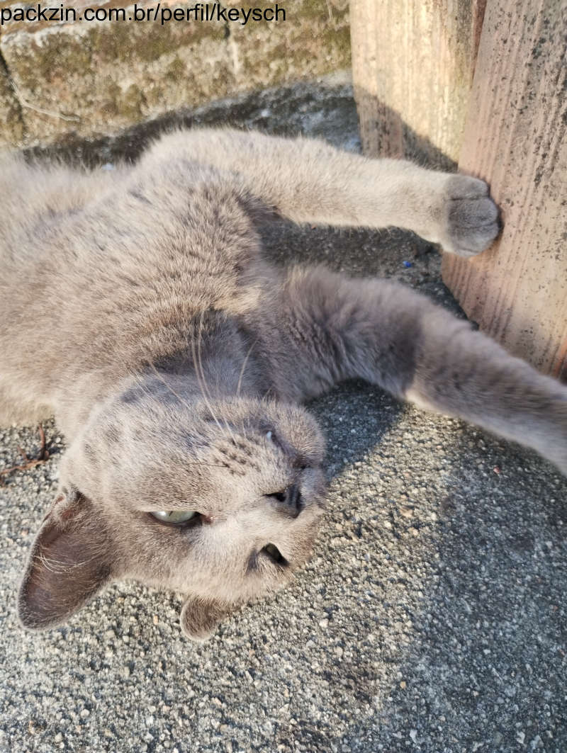 key amachi Serviços, Packs, Fotos, Vídeos e Perfis